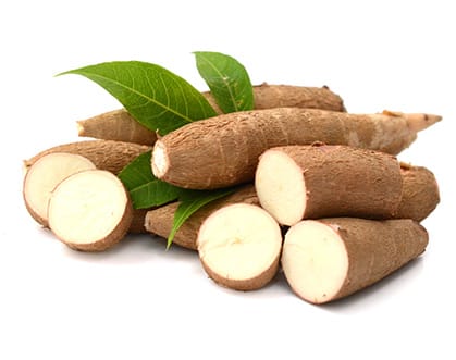 Best Tapioca Starch Manufacturer & Exporter In India