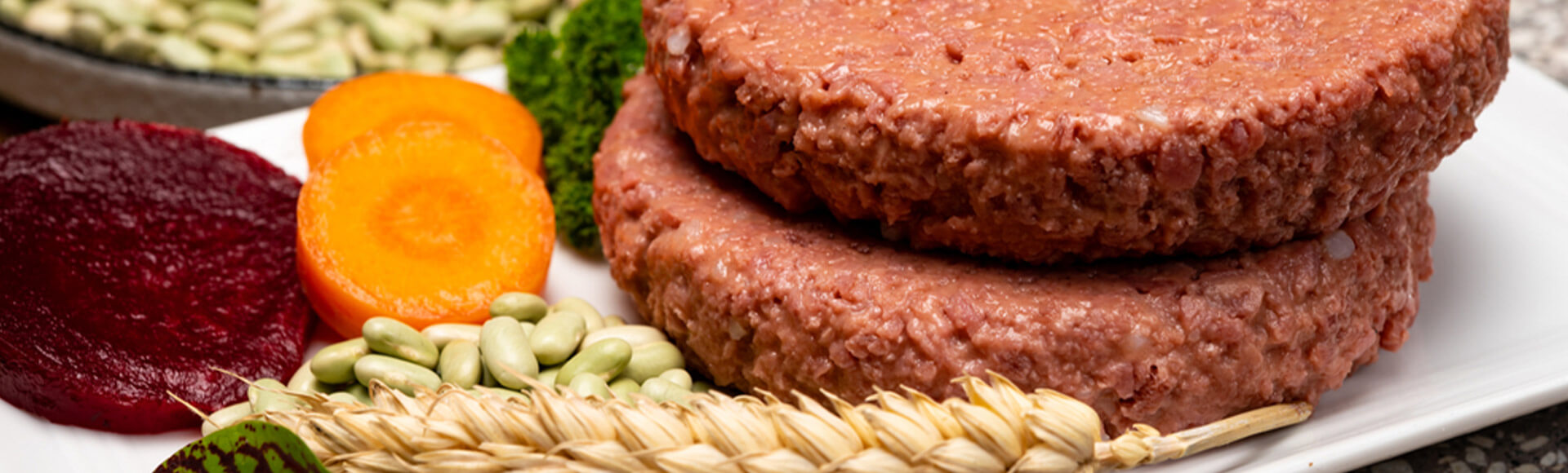 Plant Based Protien Powder Manufactures For Meat Appplications