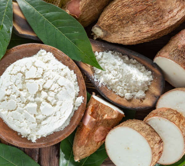 Leading Starch Manufacturer & Exporter in India -Angel Starch