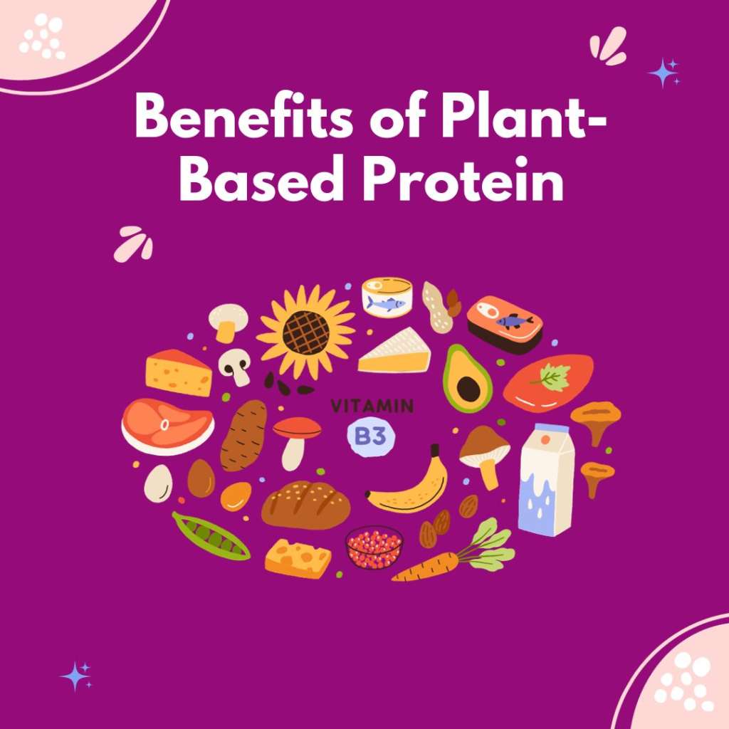A Guide to Plant Based Protein: Benefits and Sources : Angel Starch