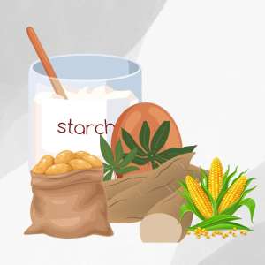 A Comparative Study of Corn, Potato, and Tapioca Starches