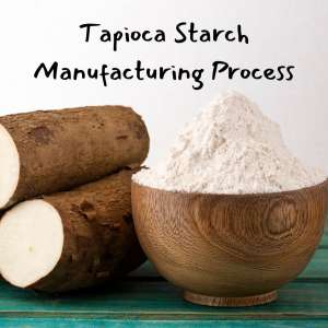 Understanding the Tapioca Starch Manufacturing Process: A Comprehensive ...