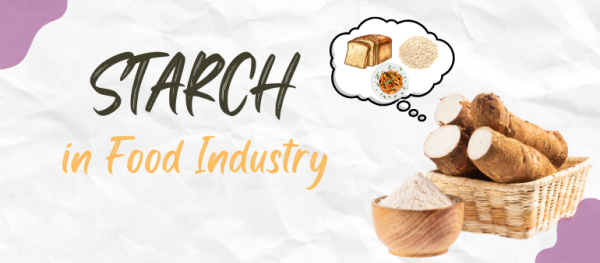 Why is Starch Essential in Food Processing? - AngelStarch
