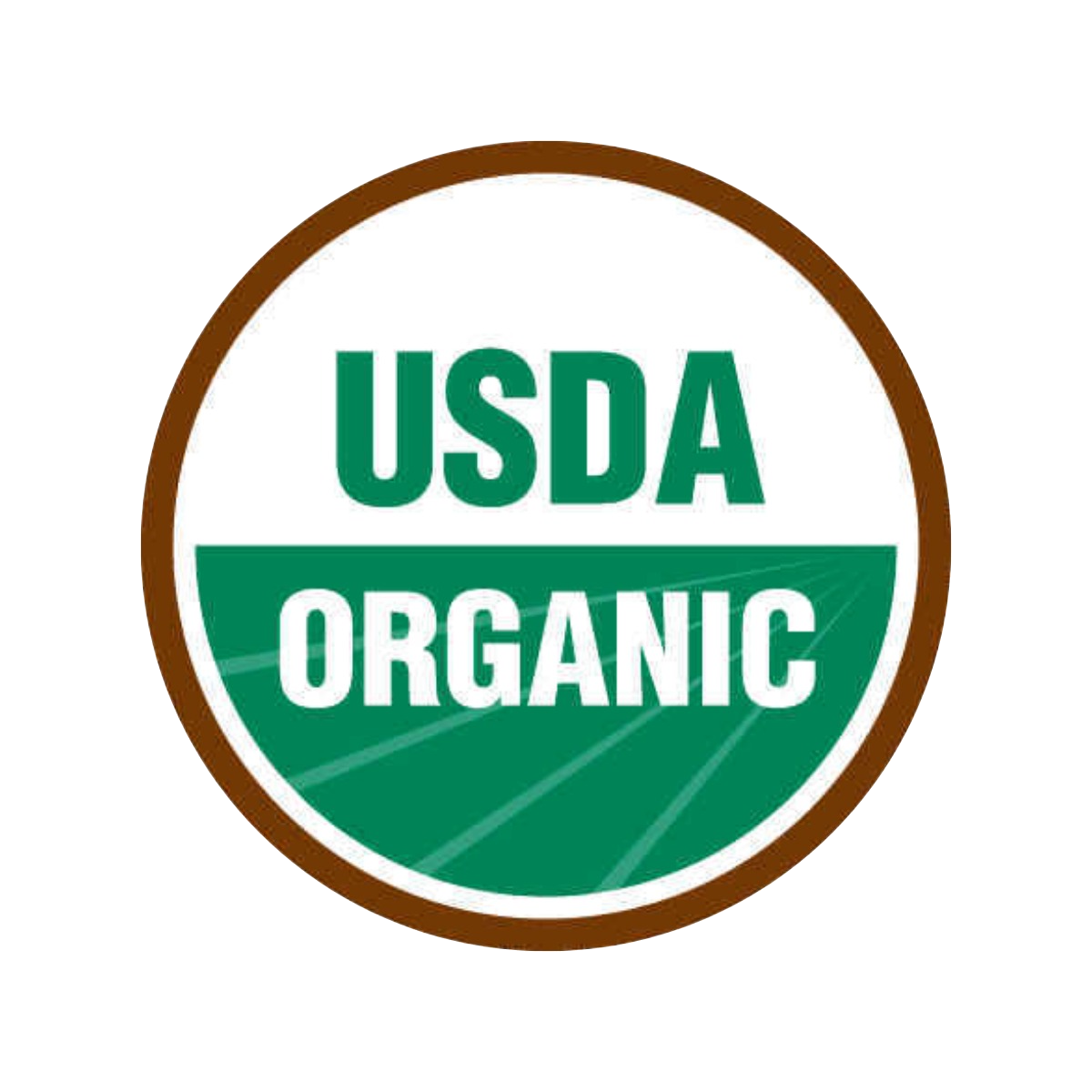 Understanding the Tapioca Starch Manufacturing Process: A Comprehensive ...